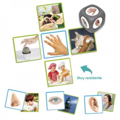 LOS 5 SENTIDOS JUEGO DE ASOCIACIÓN SENTIDO-ORGANO